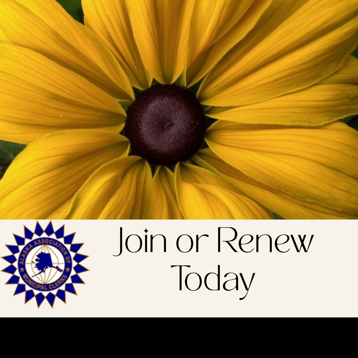 Join or Renew Your Membership | Alaska Association of Municipal Clerks